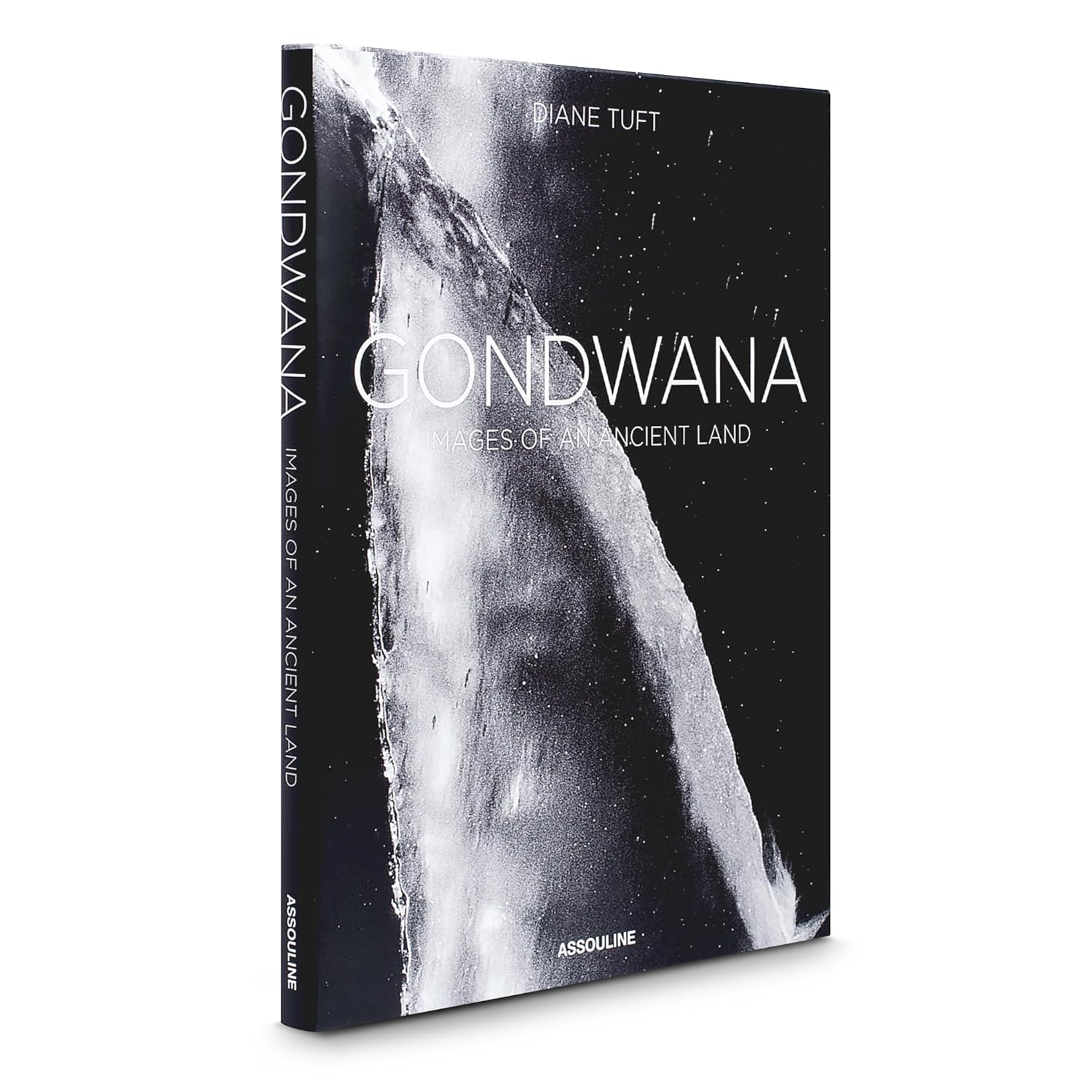 GONDWANA - Images of an Ancient Land (Classics) – Arteriors